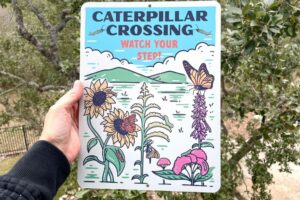 5 Awesome Native Plant Garden Signs - Native Backyards