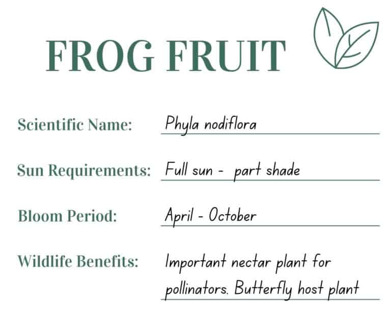 5 Awesome Native Plant Garden Signs - Native Backyards