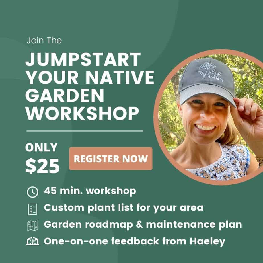 How to Start Growing Native Plants - Native Backyards
