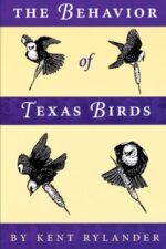 Texas Birds - The Ultimate Guide for Beginning Birders! - Native Backyards