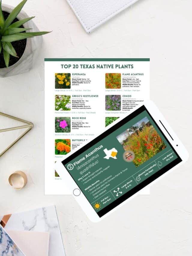 20 No-Fail Texas Native Plants Workshop - Native Backyards