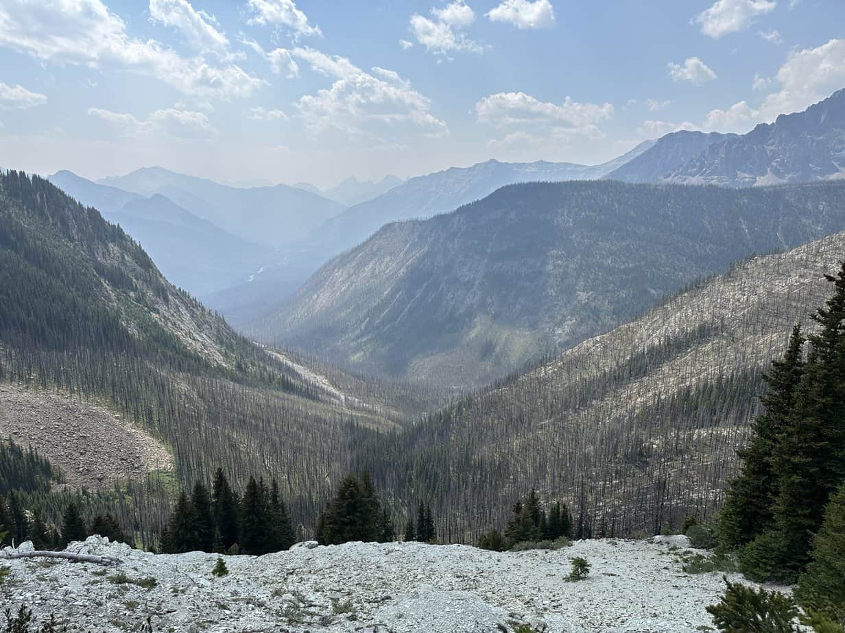 5 Tips for Your Sunshine Meadows Wildflower Hike - Native Backyards