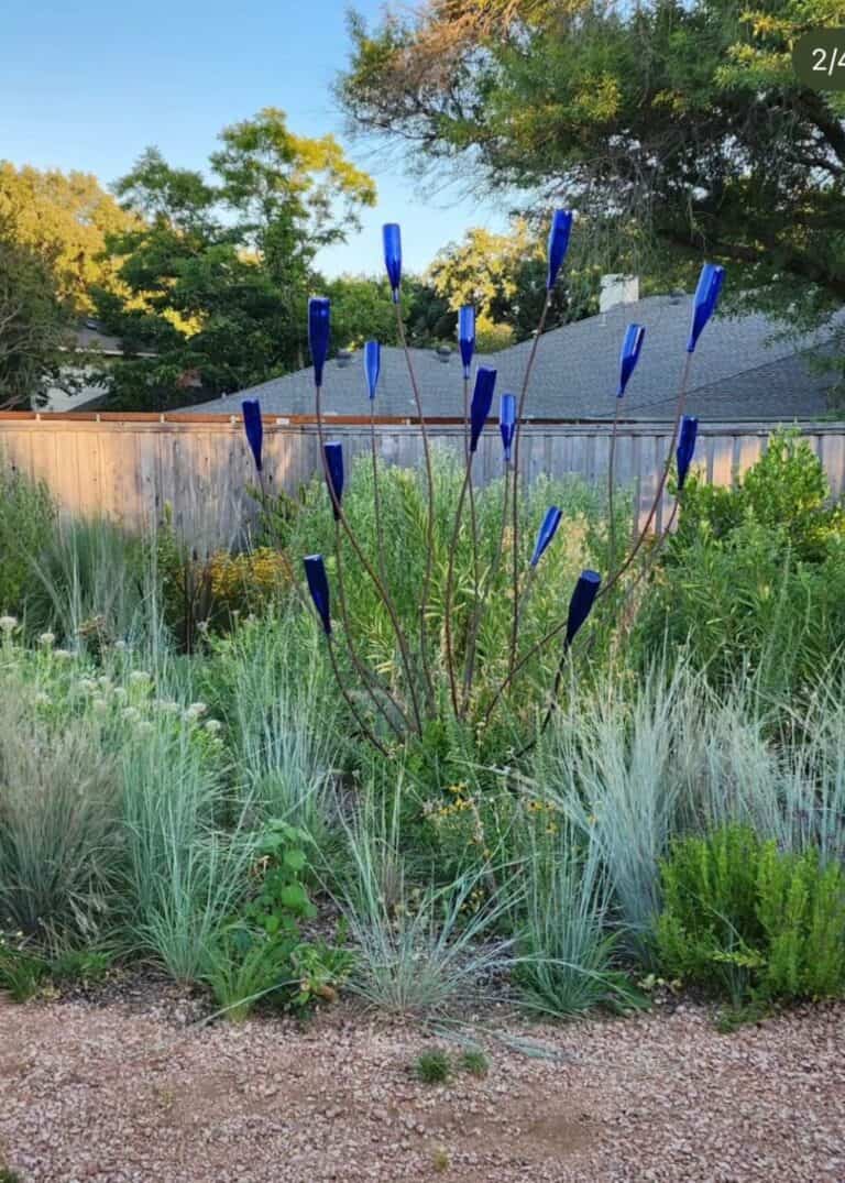 10 Awesome Native Texas Landscaping Ideas - Native Backyards