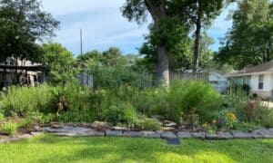 10 Awesome Native Texas Landscaping Ideas - Native Backyards
