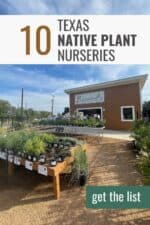 Top 10 Texas Native Plant Nurseries - Native Backyards