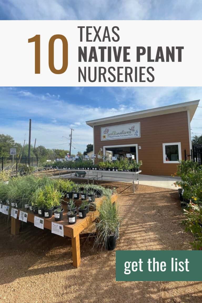 Top 10 Texas Native Plant Nurseries - Native Backyards