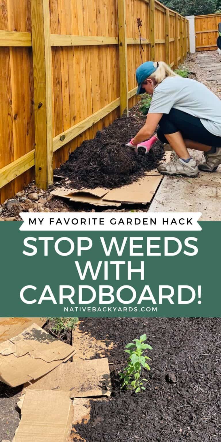 The BEST Trick to Prevent Weeds in Flower Beds - Native Backyards