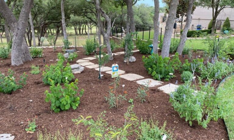 15 Texas Native Plant Landscape Designers - Native Backyards