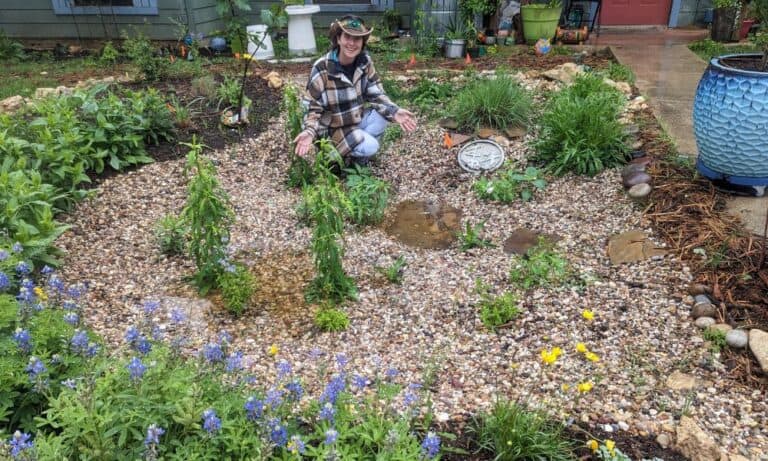 15 Texas Native Plant Landscape Designers - Native Backyards