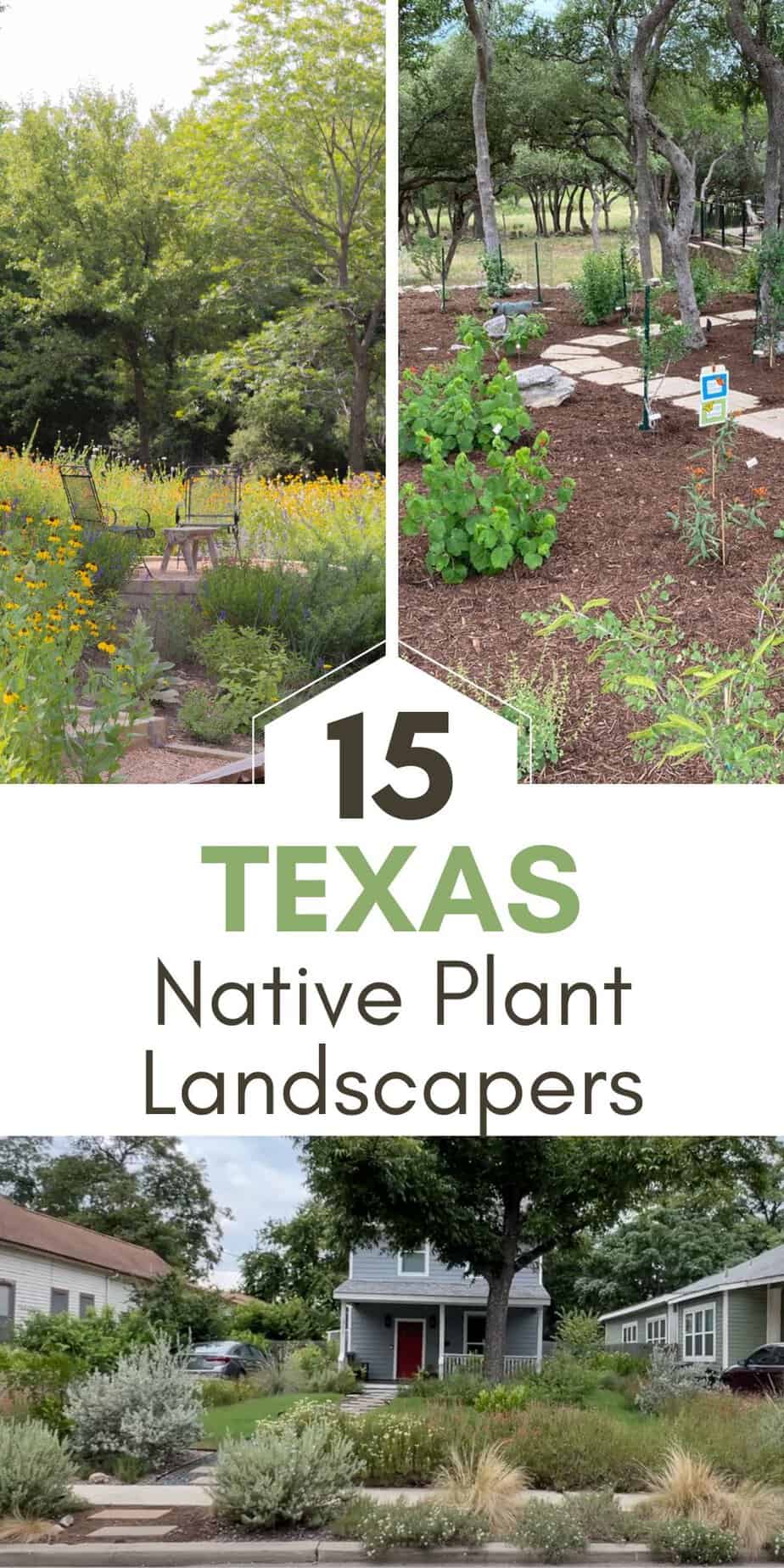 15 Texas Native Plant Landscape Designers - Native Backyards