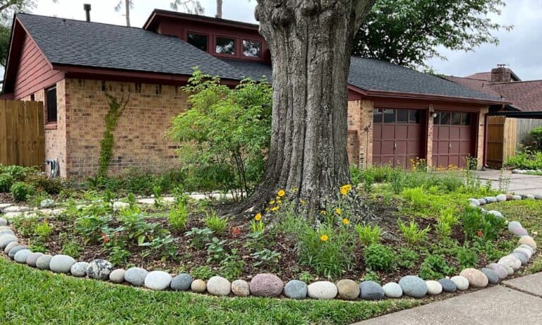 15 Texas Native Plant Landscape Designers - Native Backyards