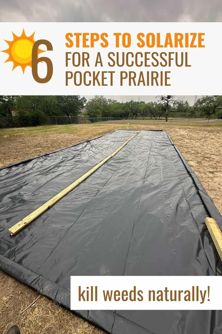 How to Kill Weeds Naturally with Solarizing Plastic - Native Backyards